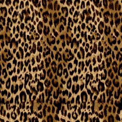 Plavkovina leopard